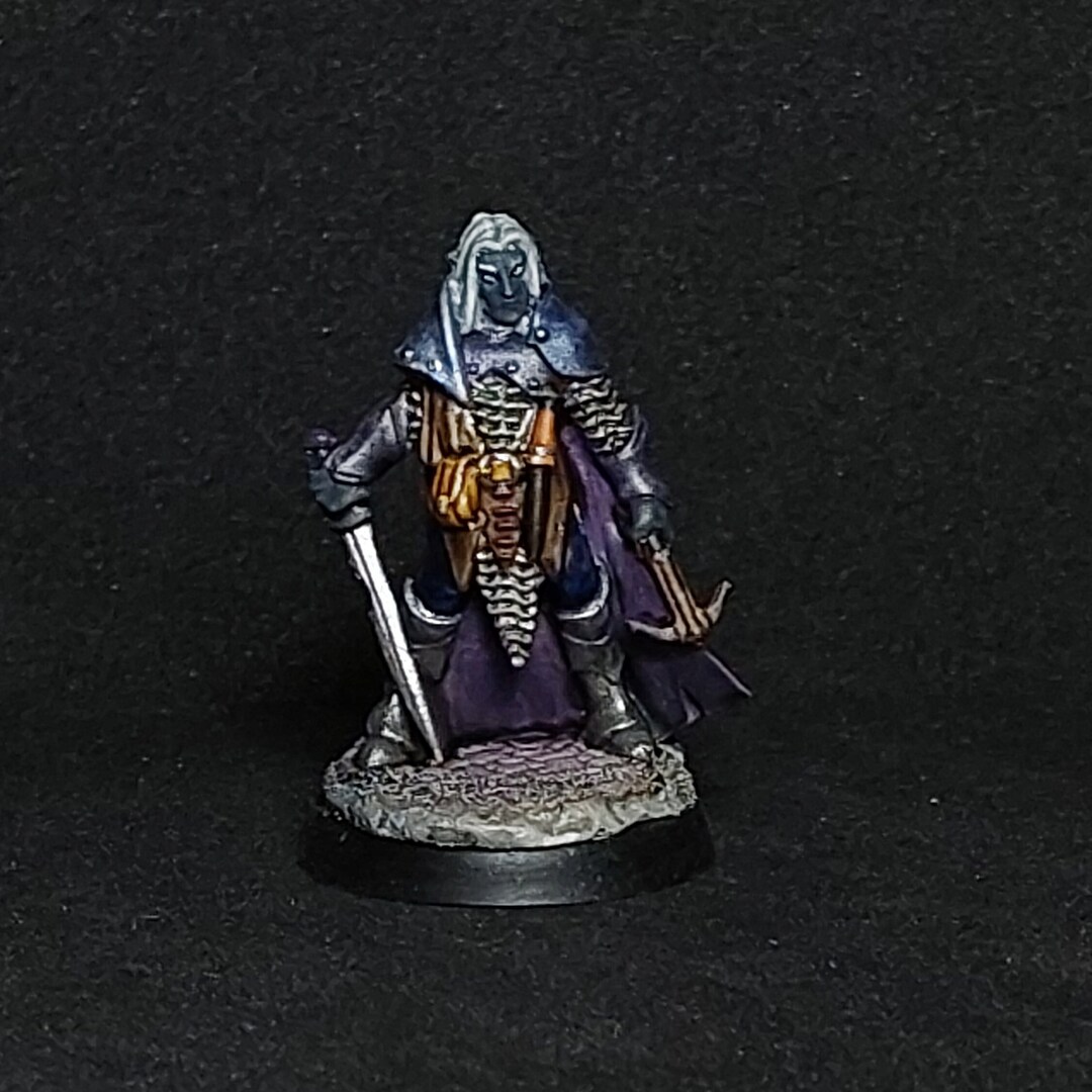 Drow / Dark Elf Fighter / Ranger Painted DnD Miniaturas Reaper - Etsy ...