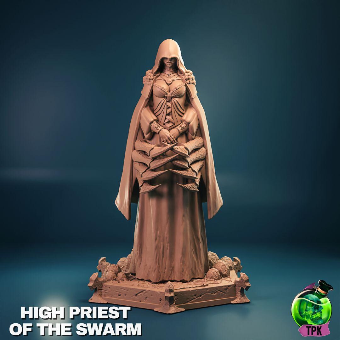 Female Drow Dark Elf High Priestess Miniature High Priest of the Swarm ...