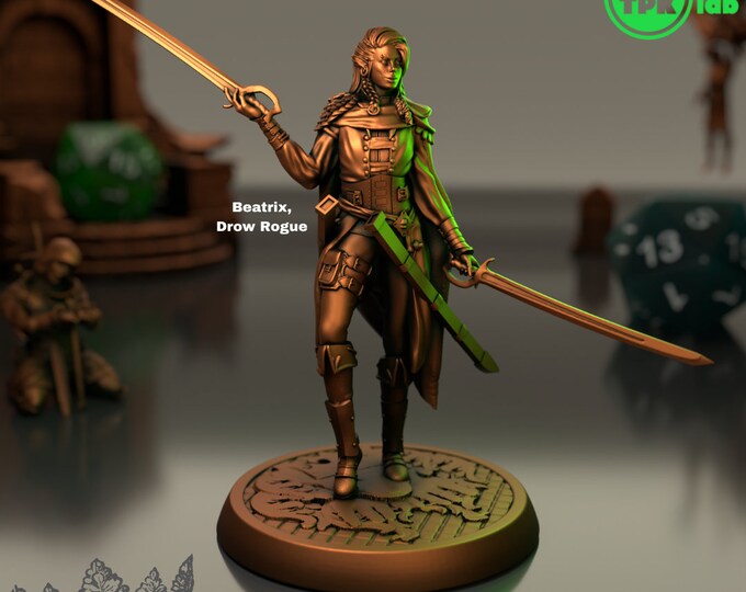 Female Drow Rogue Miniature Beatrix Drow Rogue Assassin Dark Elf 3D ...