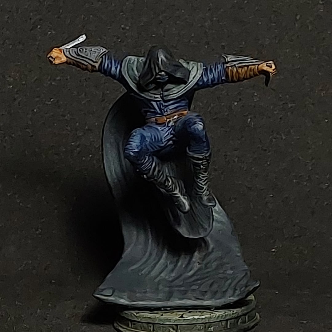 Dark Rogue Miniature Assassin Painted Dnd Mini Stormborn - Etsy