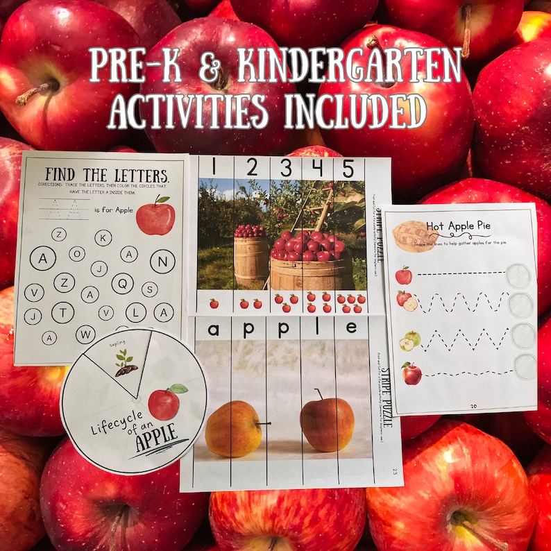 Apple Unit Study, Apple Anatomy and Life Cycle, Homeschool Printable ...