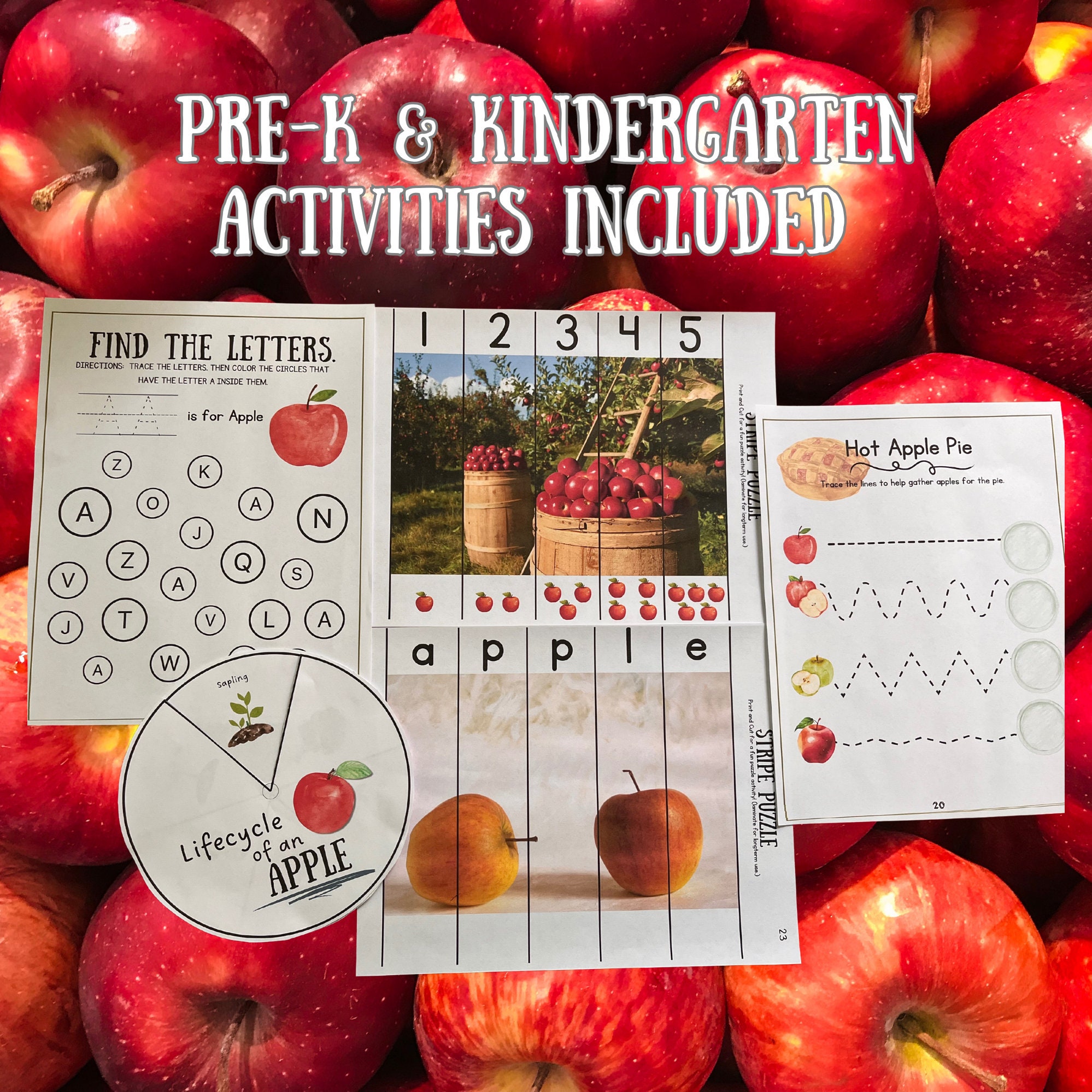 Apple Unit Study, Apple Anatomy and Life Cycle, Homeschool Printable ...