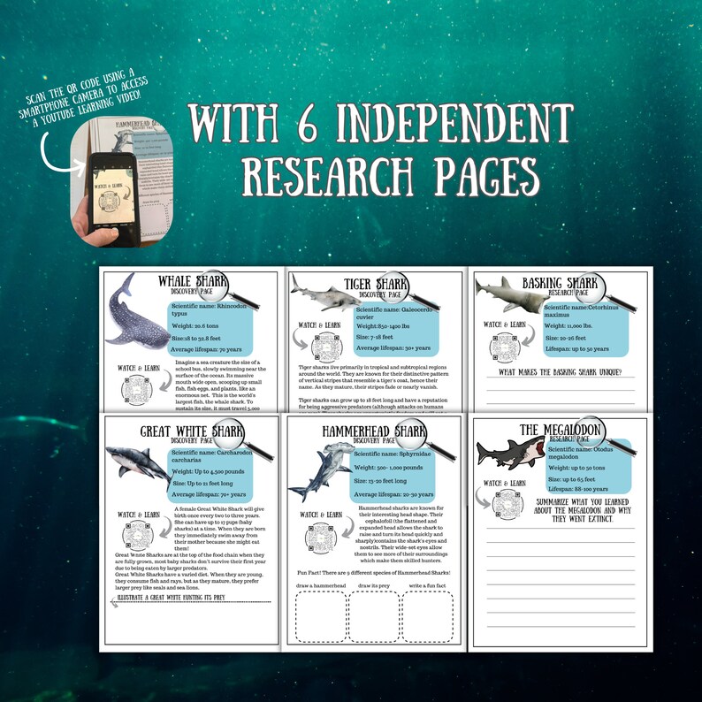 Sharks Unit Study, Homeschool Printables, Marine Biology, Science ...