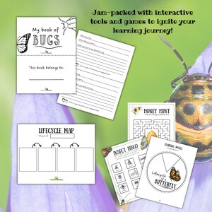Insect Unit Study, Homeschool Science, Lifecycle of Bugs - Etsy
