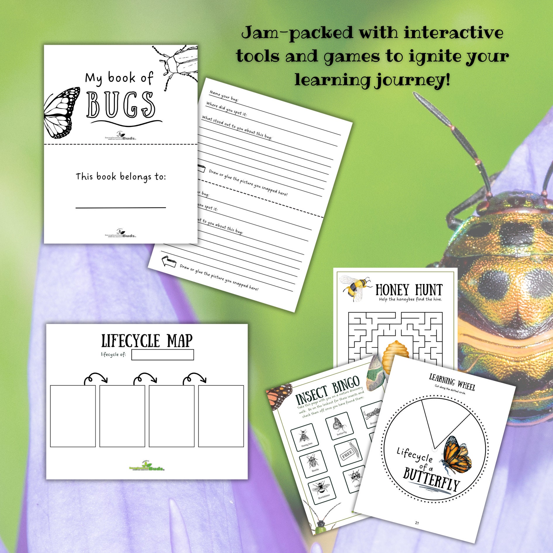 Insect Unit Study, Homeschool Science, Lifecycle of Bugs - Etsy