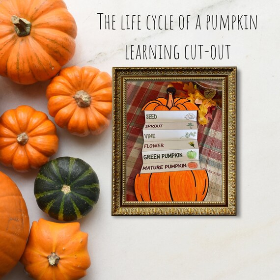 Lifecycle of a Pumpkin Cut-out Fall Craft - Etsy