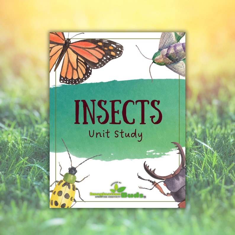 Insect Unit Study, Homeschool Science, Lifecycle of Bugs - Etsy