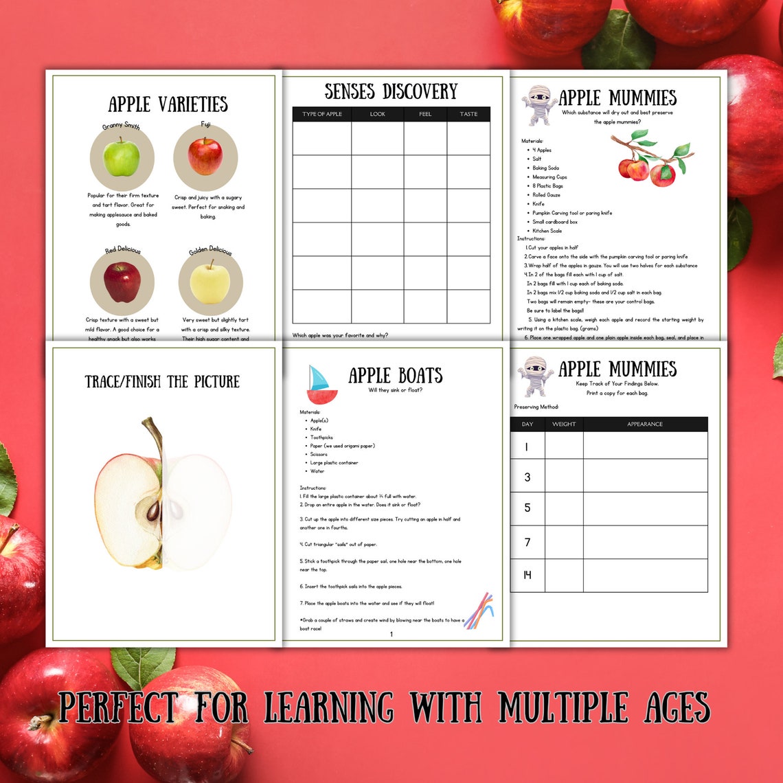 Apple Unit Study, Apple Anatomy and Life Cycle, Homeschool Printable ...