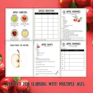 Apple Unit Study, Apple Anatomy and Life Cycle, Homeschool Printable ...
