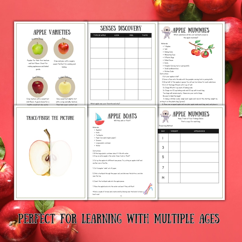 Apple Unit Study, Apple Anatomy and Life Cycle, Homeschool Printable ...
