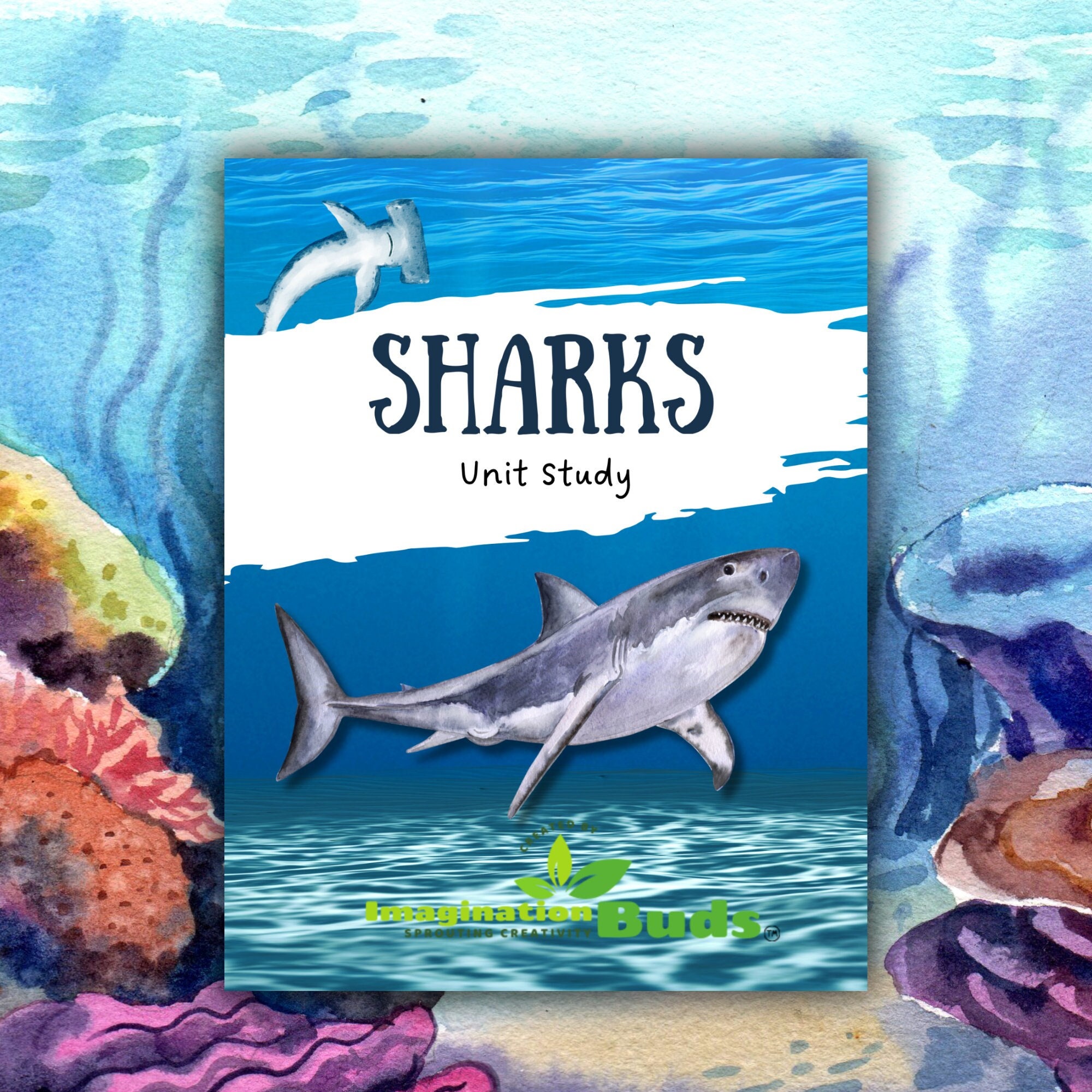 Sharks Unit Study, Homeschool Printables, Marine Biology, Science ...