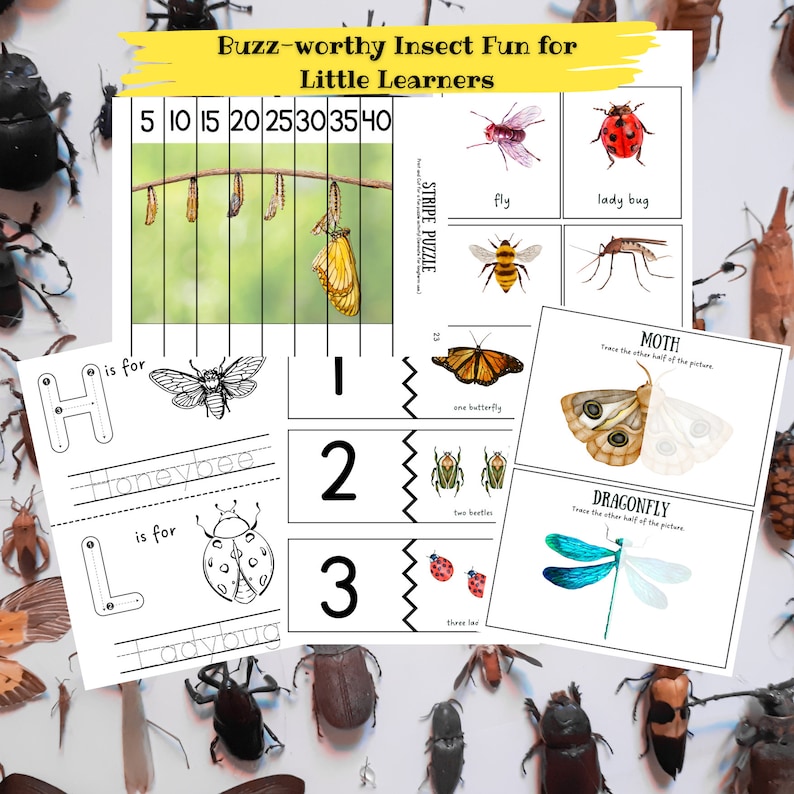 Insect Unit Study, Homeschool Science, Lifecycle of Bugs - Etsy
