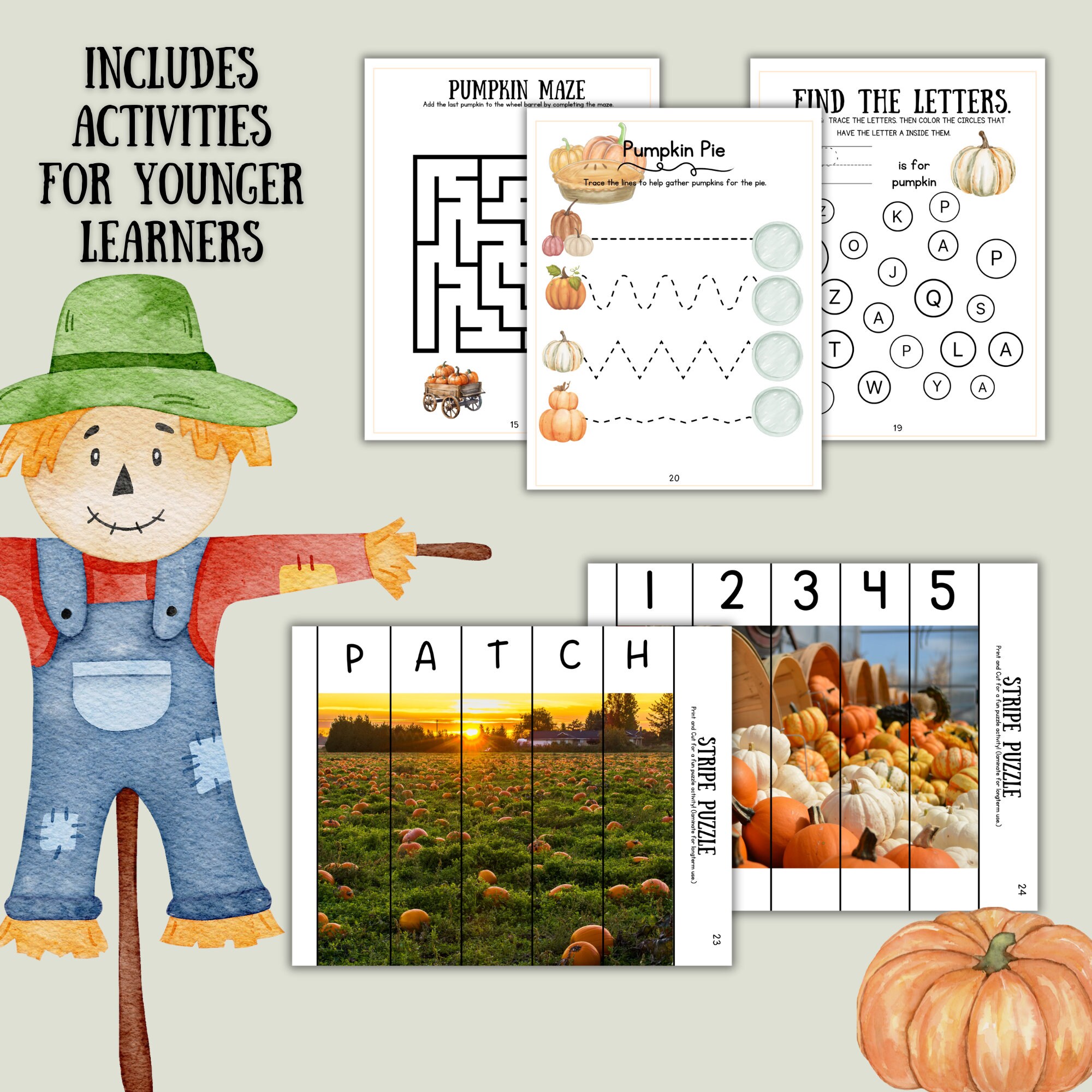 Pumpkin Unit Study, Life Cycle and Anatomy of a Pumpkin, Homeschool ...