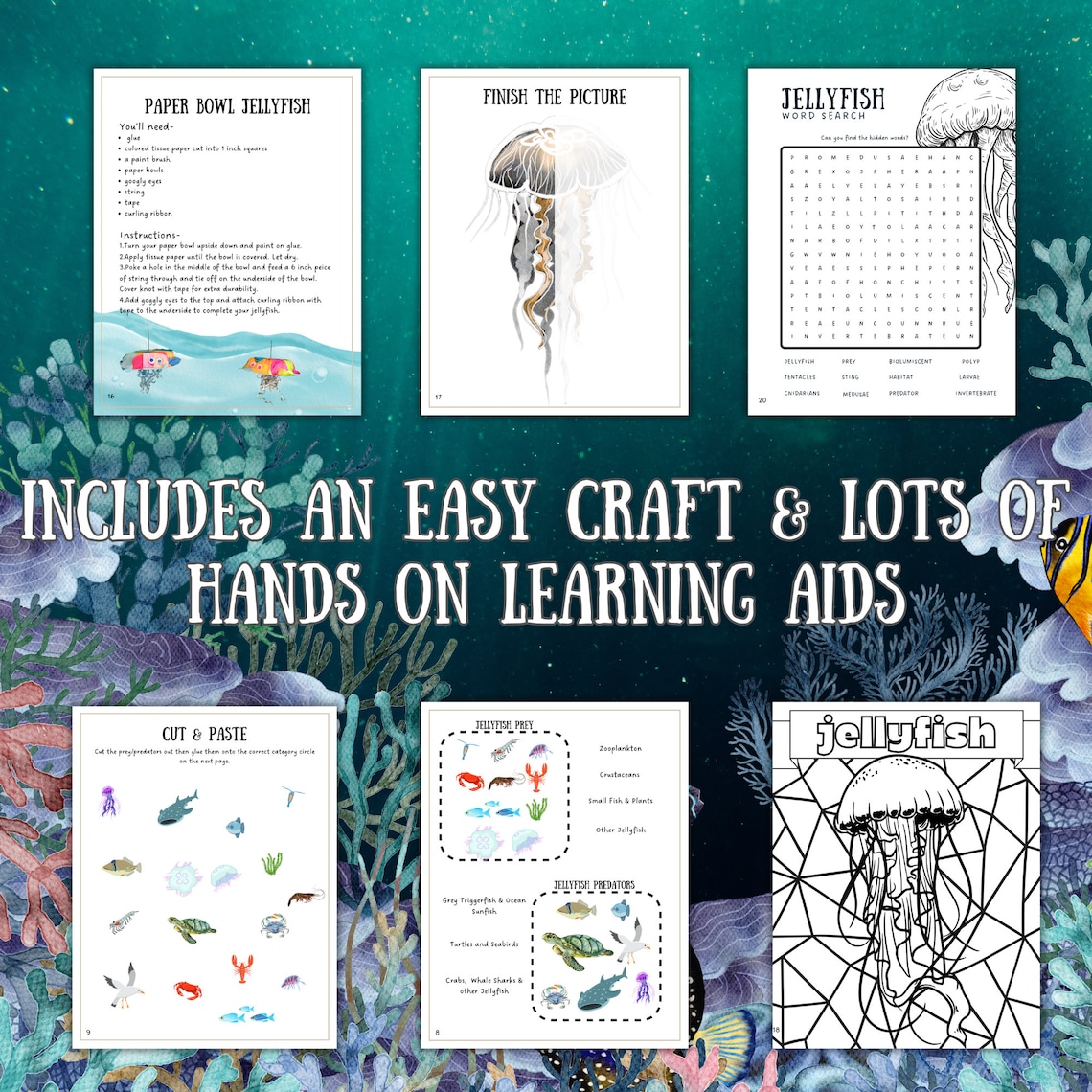 Jellyfish Unit Study, Marine Biology, Science, Digital Download - Etsy