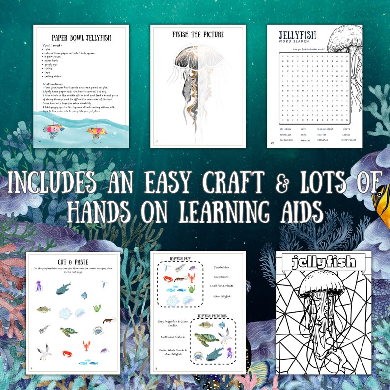 Jellyfish Unit Study, Marine Biology, Science, Digital Download - Etsy