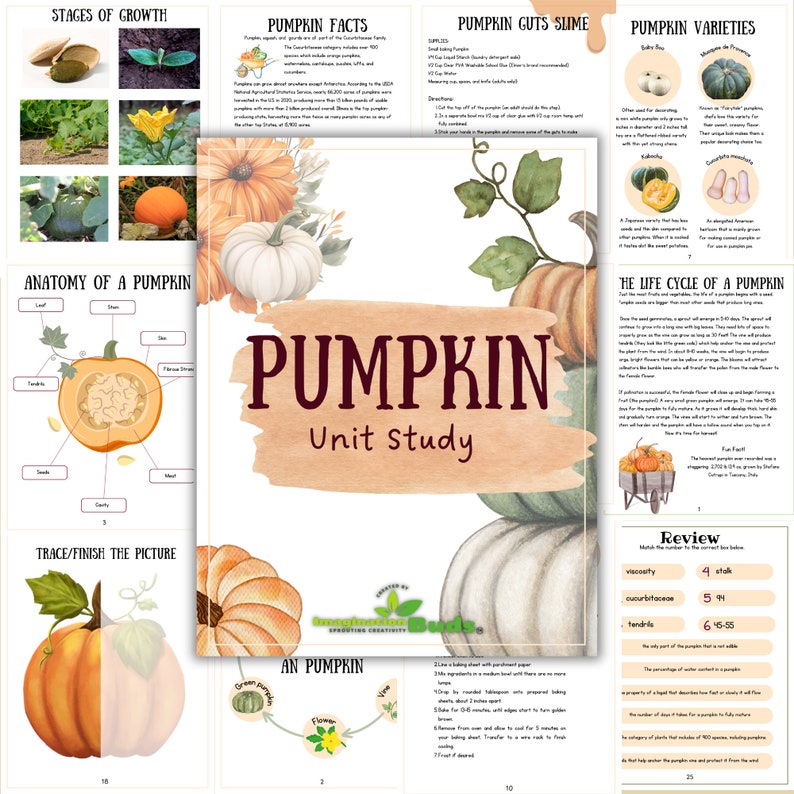 Pumpkin Unit Study, Life Cycle and Anatomy of a Pumpkin, Homeschool ...
