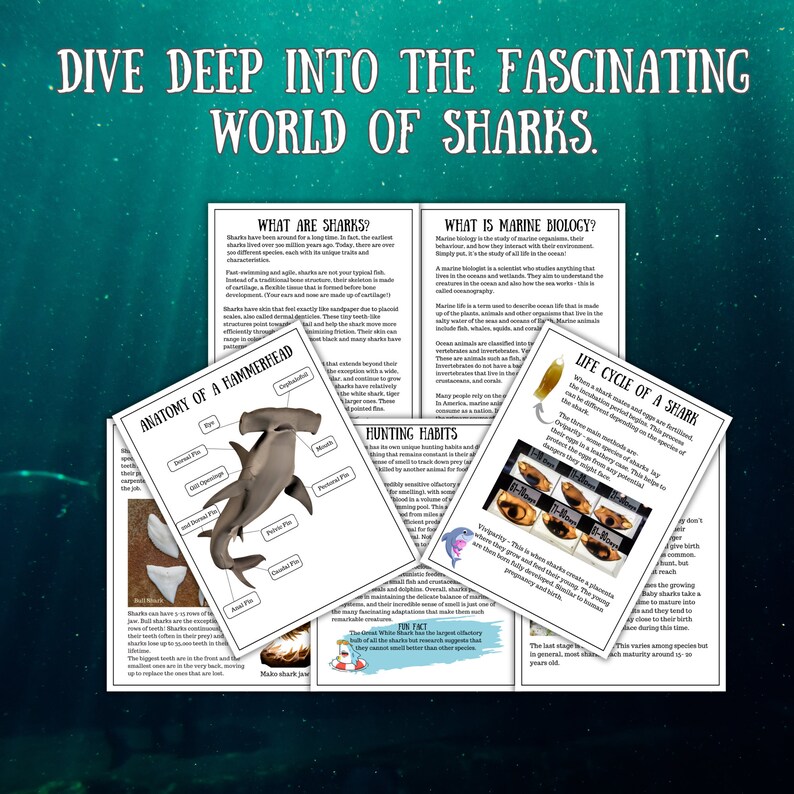 Sharks Unit Study, Homeschool Printables, Marine Biology, Science ...