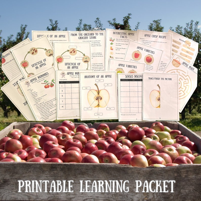 Apple Unit Study, Apple Anatomy and Life Cycle, Homeschool Printable ...
