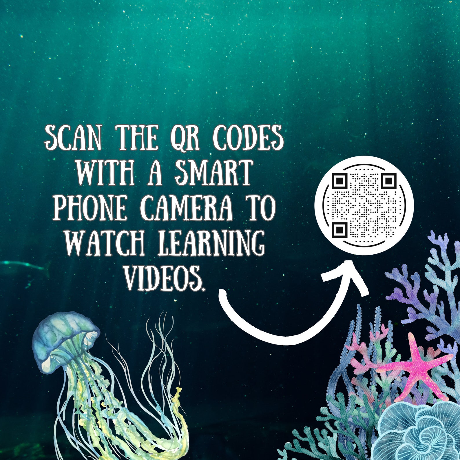 Jellyfish Unit Study, Marine Biology, Science, Digital Download - Etsy