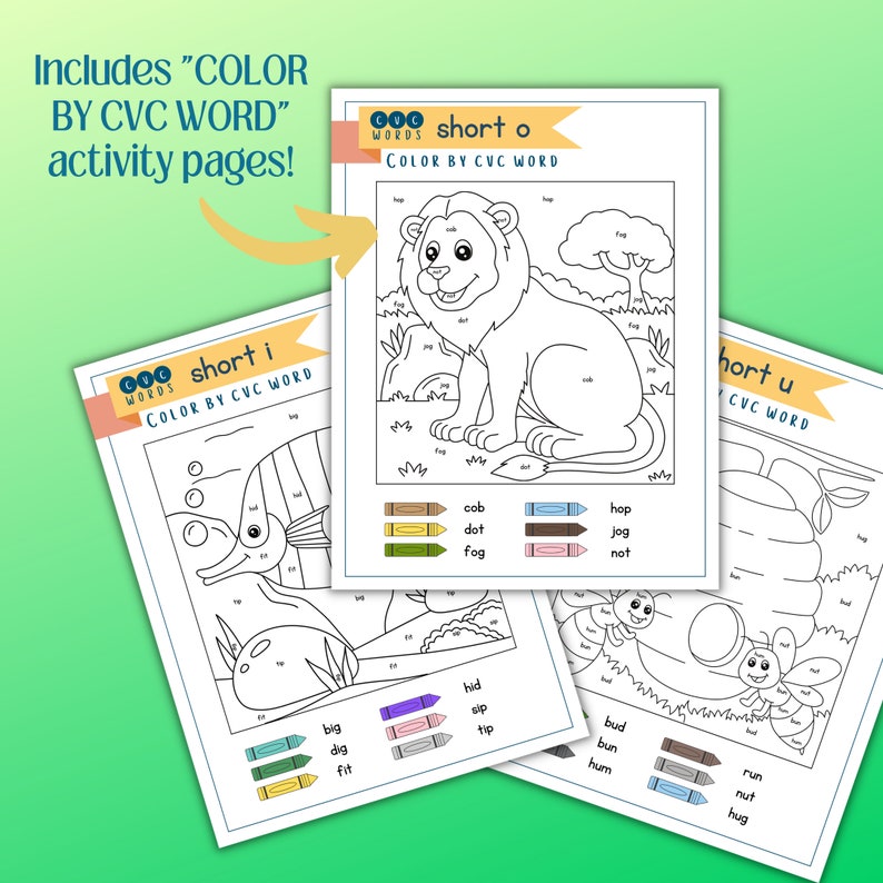 CVC Words | Consonant, Vowel and Consonant Sound | Digital Download ...