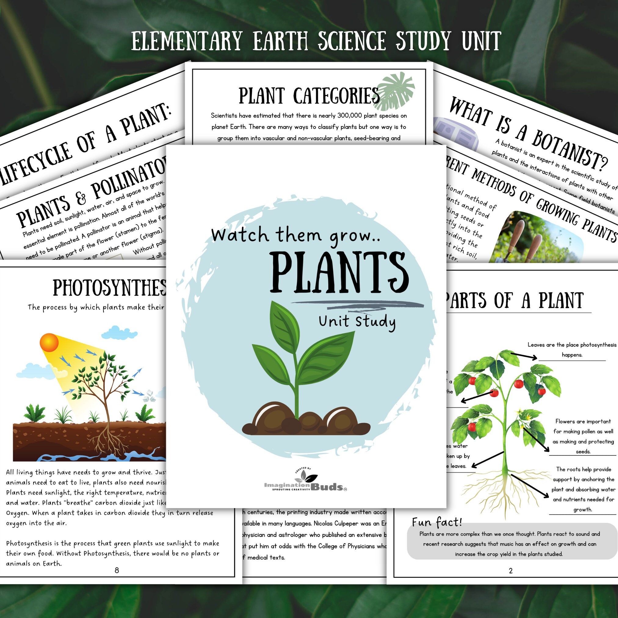 Earth Science - Plants- Elementary Science Study Unit- Homeschool ...