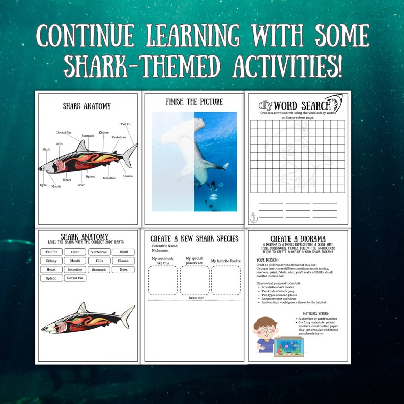 Sharks Unit Study, Homeschool Printables, Marine Biology, Science ...