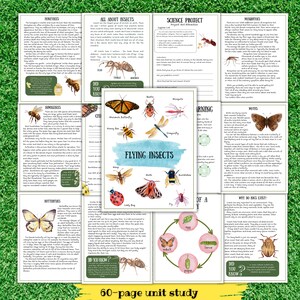 Insect Unit Study, Homeschool Science, Lifecycle of Bugs - Etsy