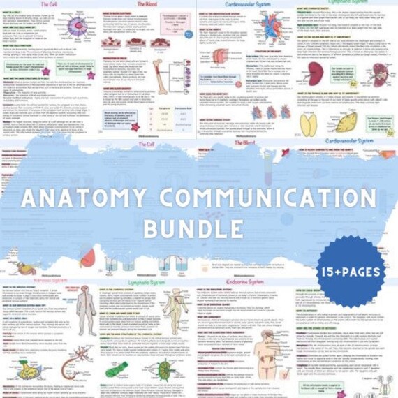 Anatomy & Physiology Digital Download Communication Bundle for - Etsy