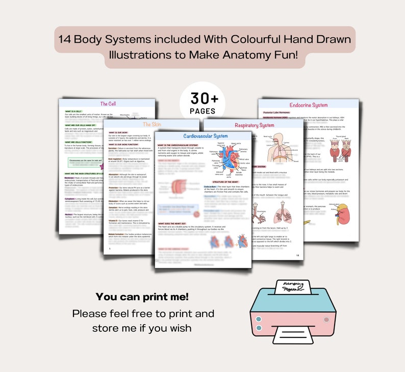Anatomy and Physiology, Digital Download, Student Nurse Revision ...