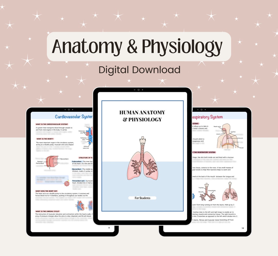 Anatomy and Physiology, Digital Download, Student Nurse Revision ...