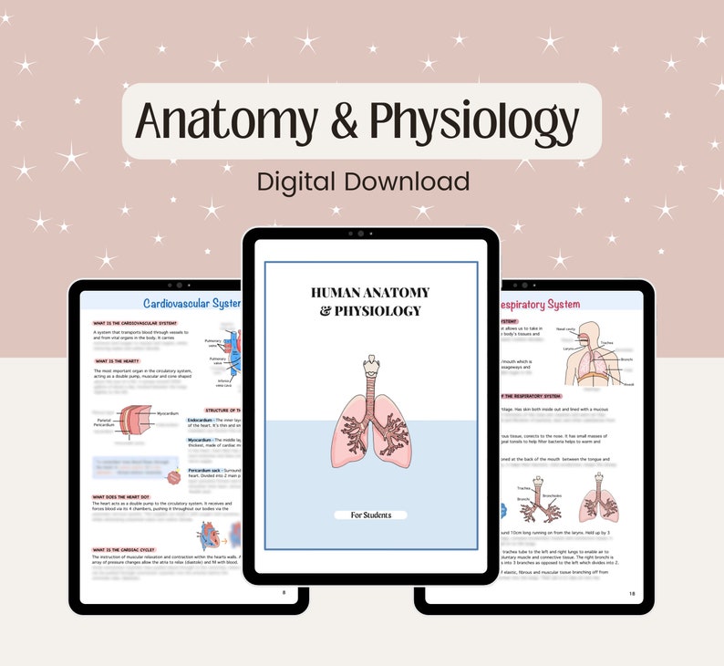 Anatomy and Physiology, Digital Download, Student Nurse Revision ...