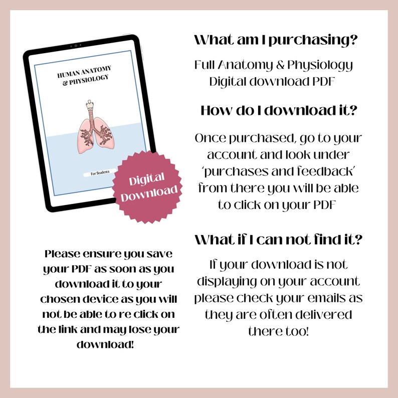 Anatomy and Physiology Digital Download Guide for Student - Etsy
