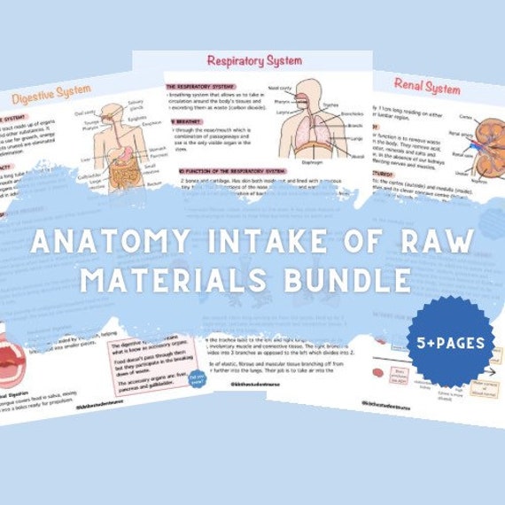 Anatomy & Physiology Digital Download Intake of Raw Materials - Etsy