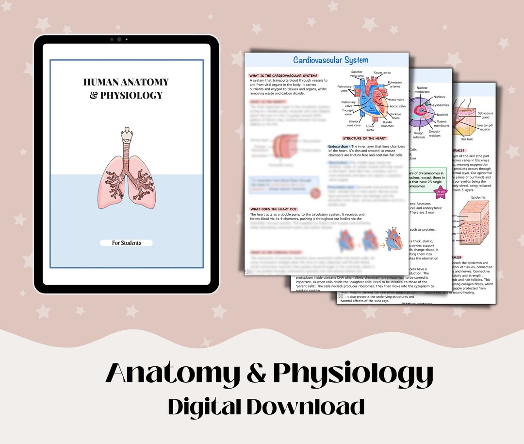 Anatomy and Physiology Digital Download Student Nurse - Etsy