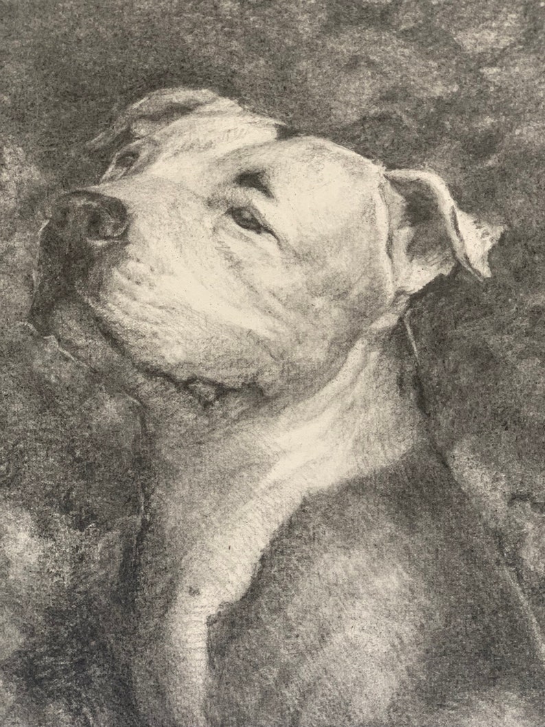 Commissioned Portrait - Etsy