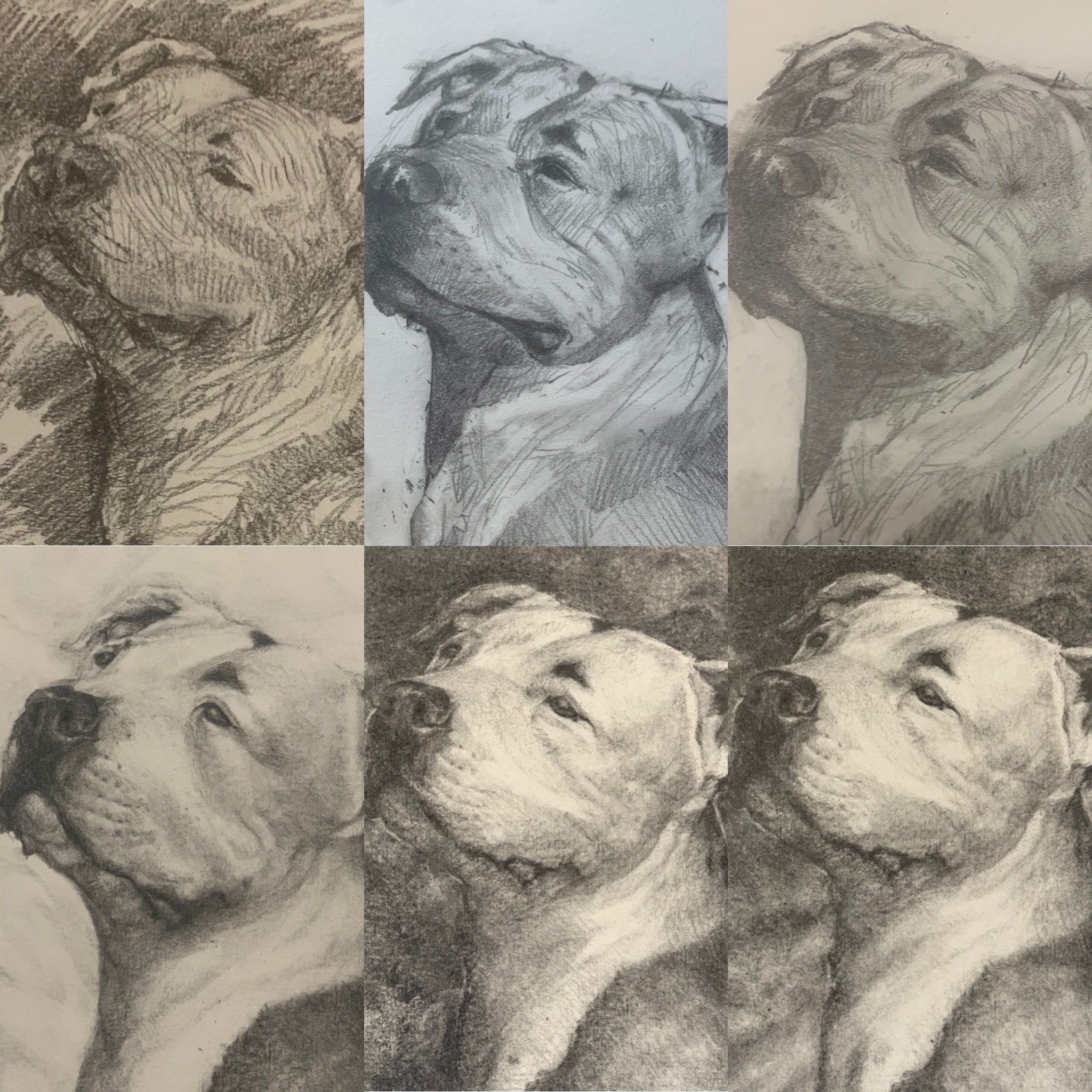 Commissioned Portrait - Etsy