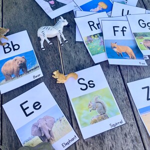 Printable Alphabet Animal Flashcards, Montessori Materials Printable ...