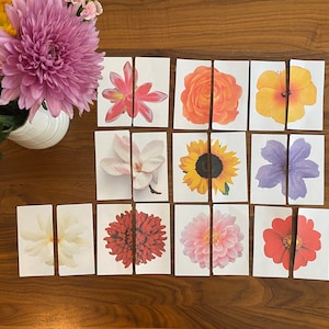 Printable Flower Matching Activity - Toddler & Preschool Printables ...