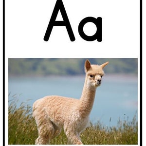 Printable Alphabet Animal Flashcards, Montessori Materials Printable ...