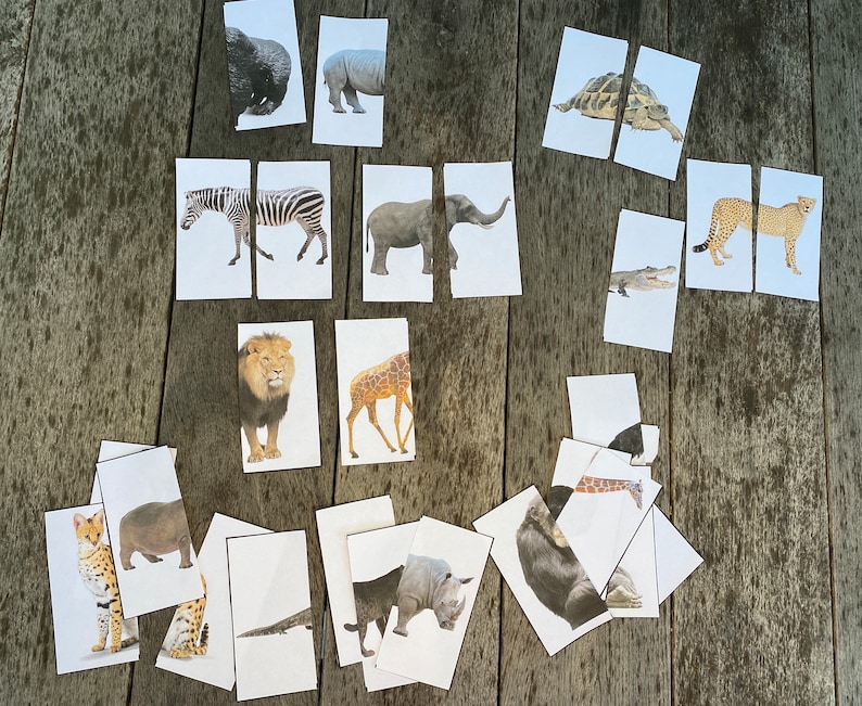 Printable Animal Matching Activity Toddler & Preschool Printables ...