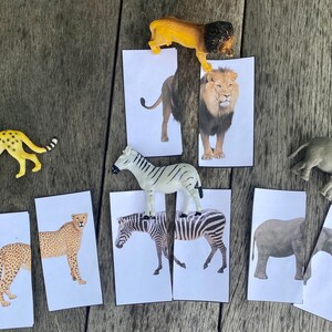 Printable Animal Matching Activity - Toddler & Preschool Printables ...