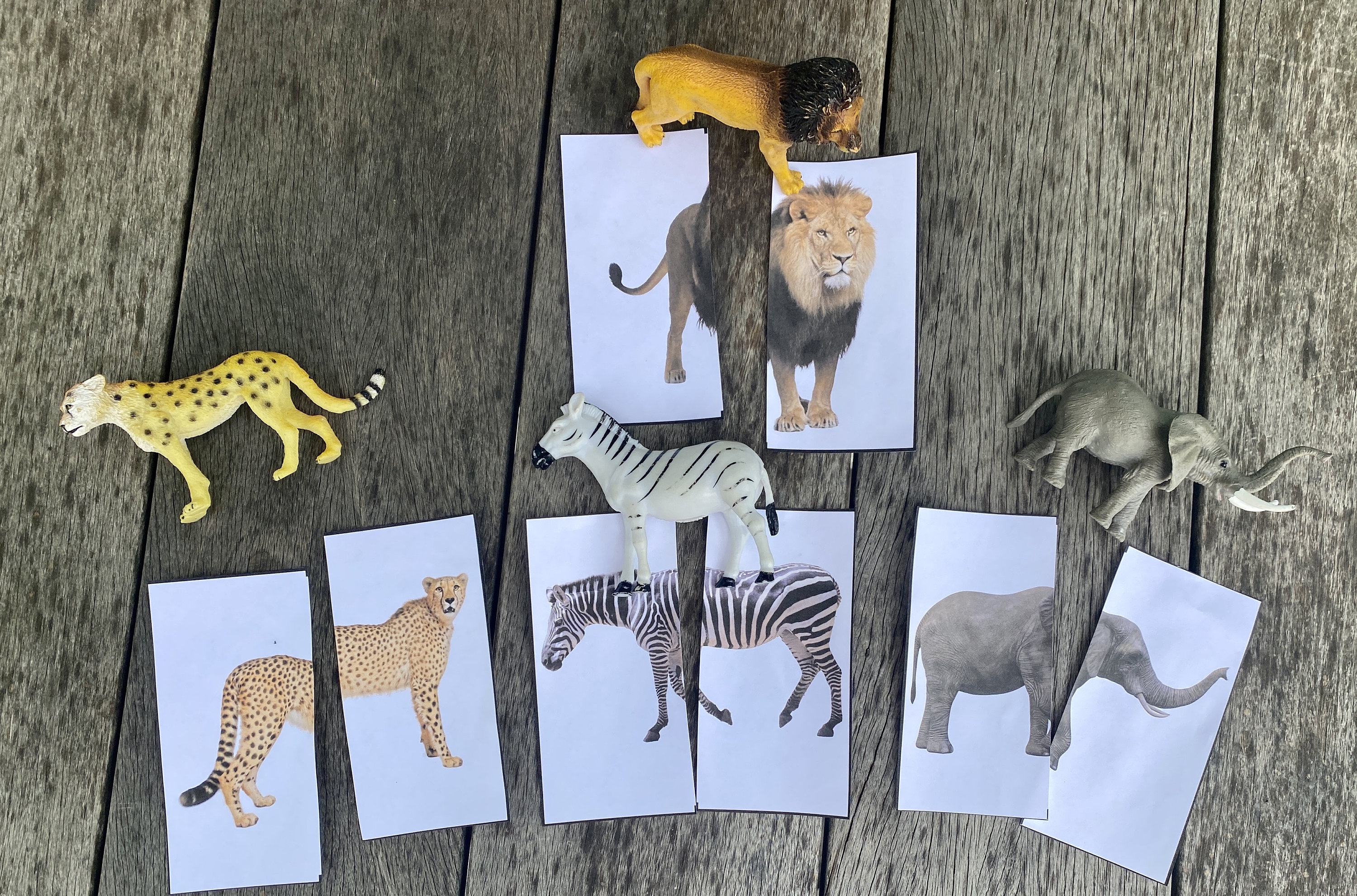 Printable Animal Matching Activity - Toddler & Preschool Printables ...