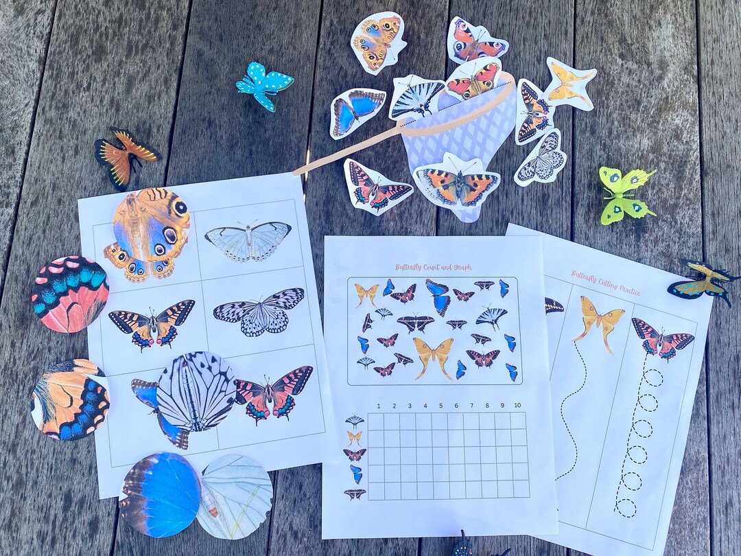 Printable Activity Kit - Butterfly Theme, Montessori Materials, Toddler ...