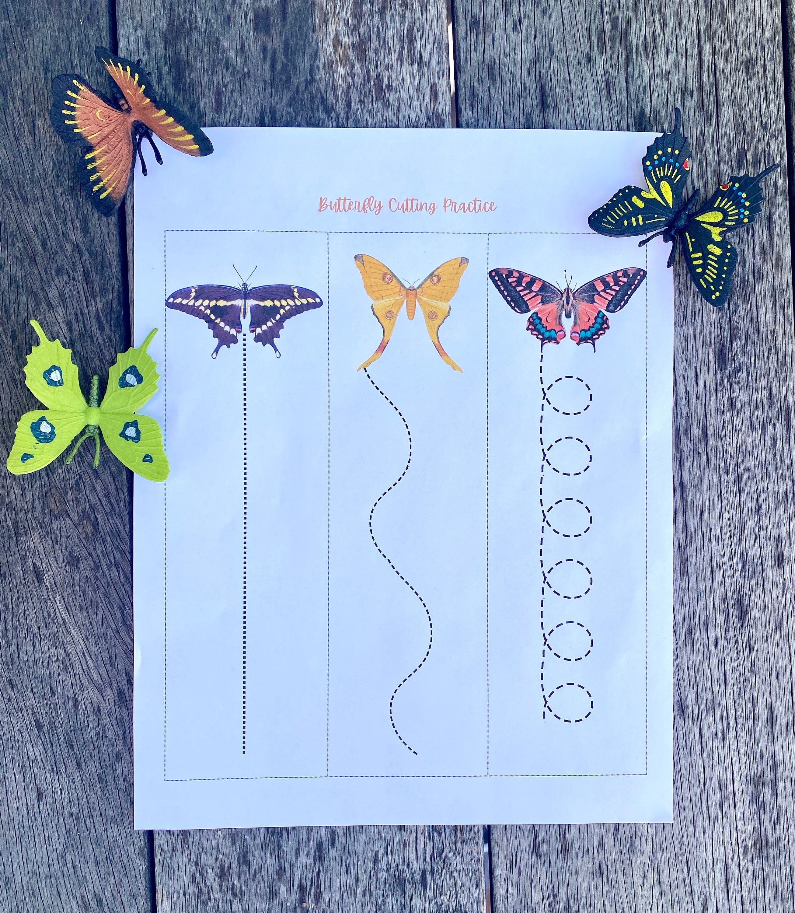 Printable Activity Kit - Butterfly Theme, Montessori Materials, Toddler ...