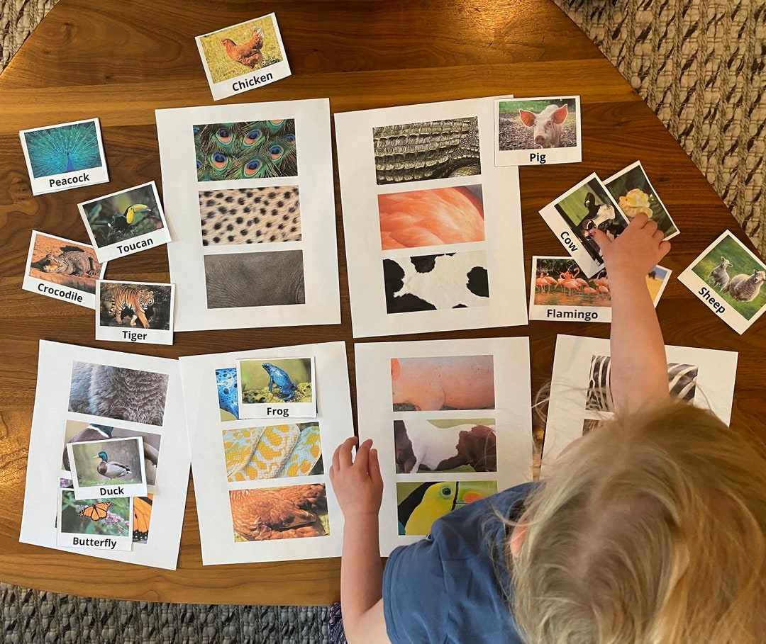 Animal Pattern Matching Activity: Toddler & Preschool Printable (PDF ...