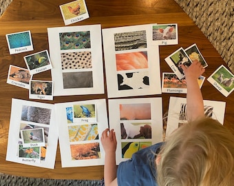 Printable Animal Matching Activity - Toddler & Preschool Printables ...