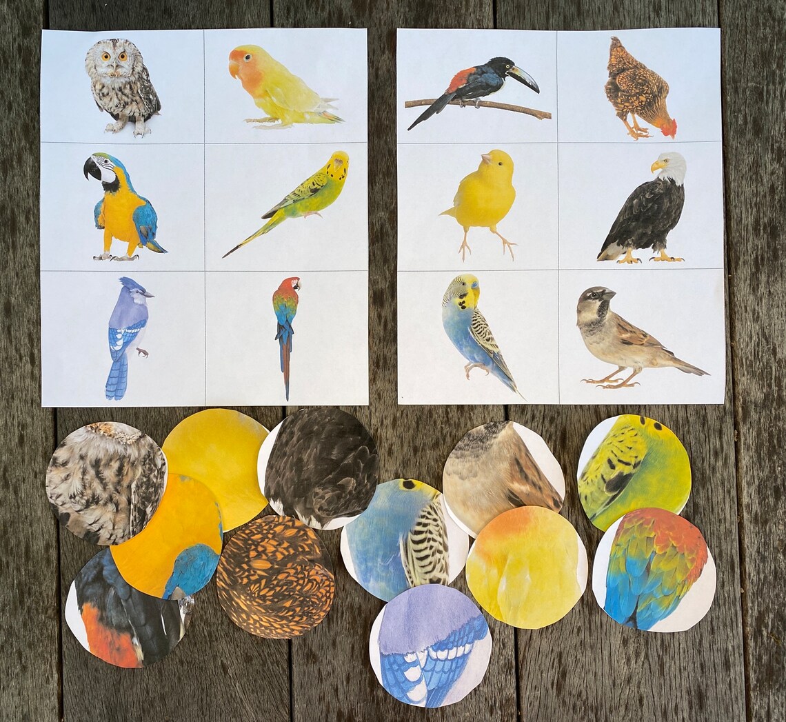 Printable Bird Matching Activity - Toddler & Preschool Printable ...