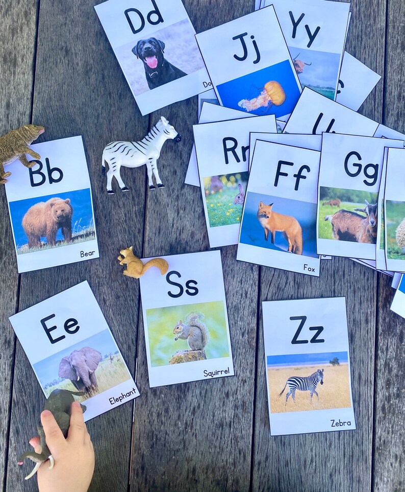 Printable Alphabet Animal Flashcards, Montessori Materials Printable ...