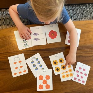 Printable Flower Theme Activity Kit- 3 Activities, Montessori Materials ...