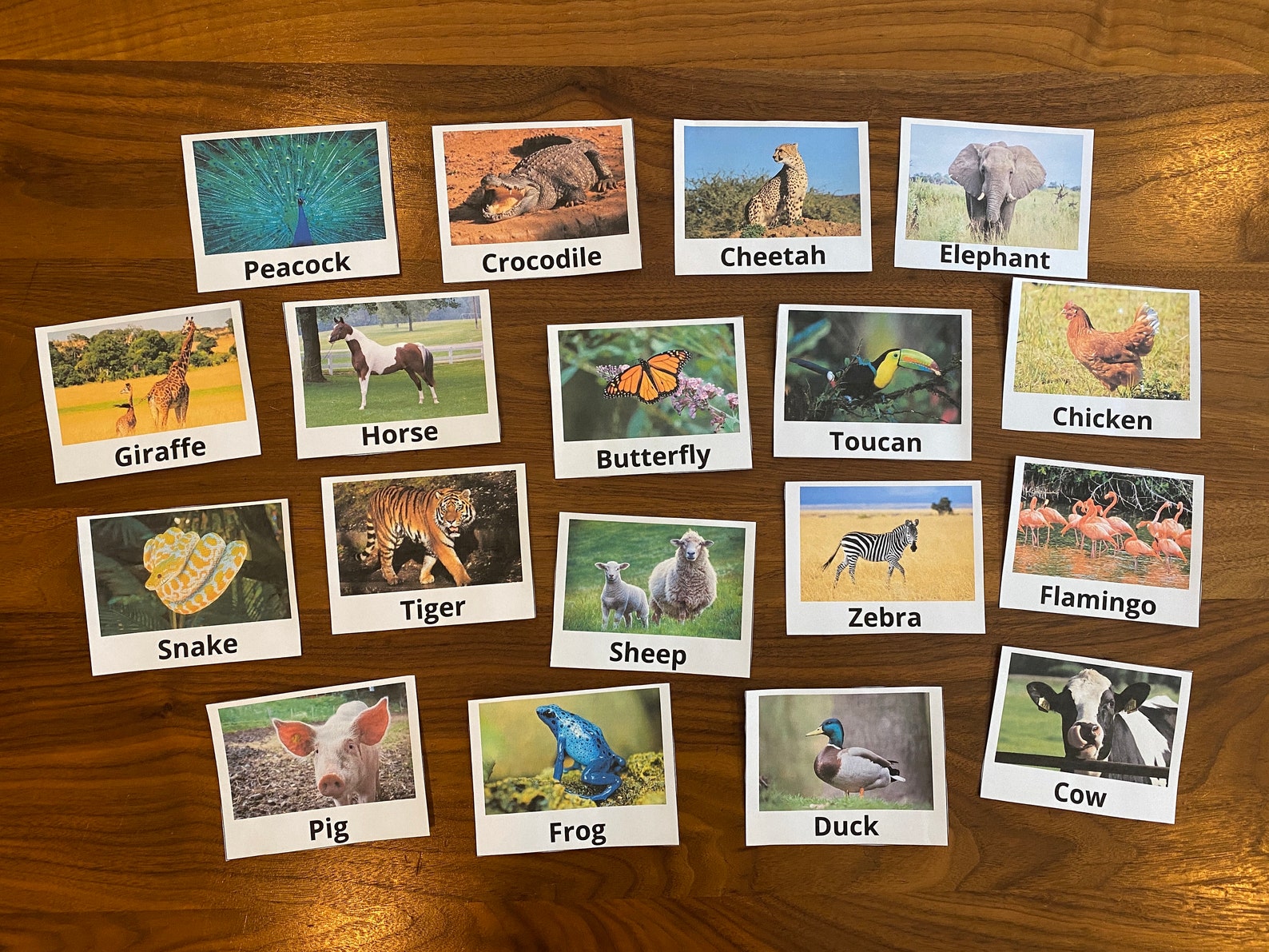 Animal Pattern Matching Activity: Toddler & Preschool Printable (PDF ...